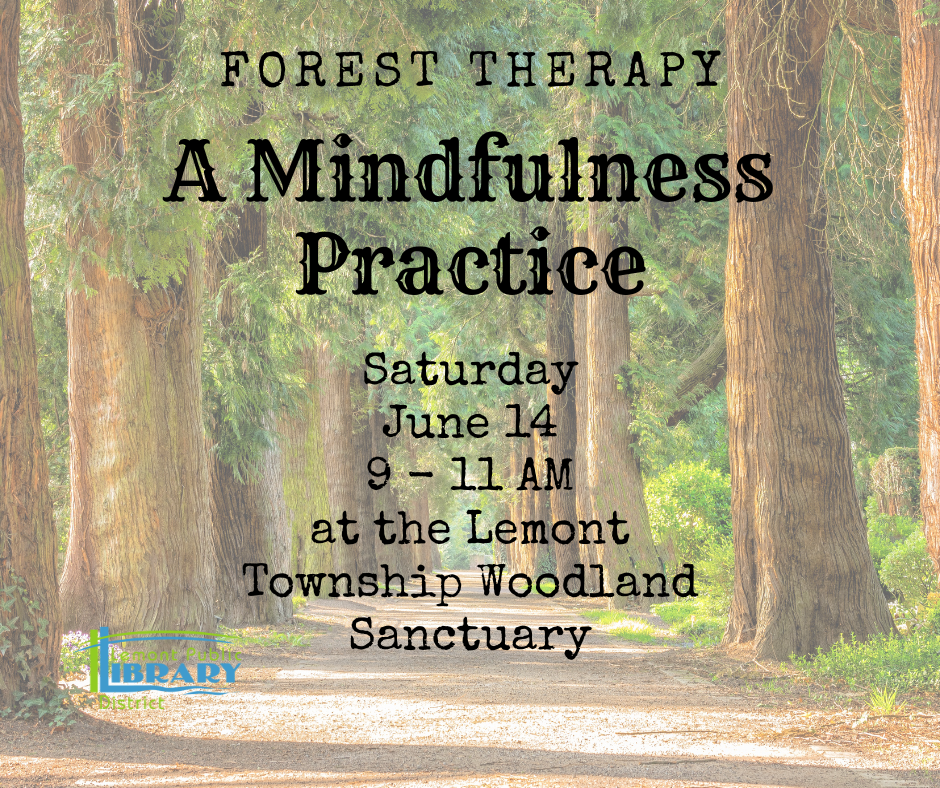 Forest Therapy at Woodland Sanctuary - Lemont Township